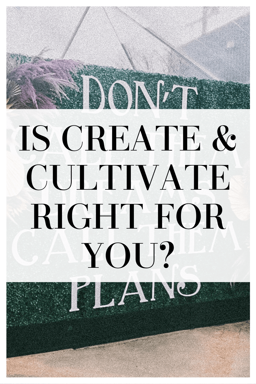 My Create & Cultivate Experience | Is it right for you? - MY CHIC OBSESSION